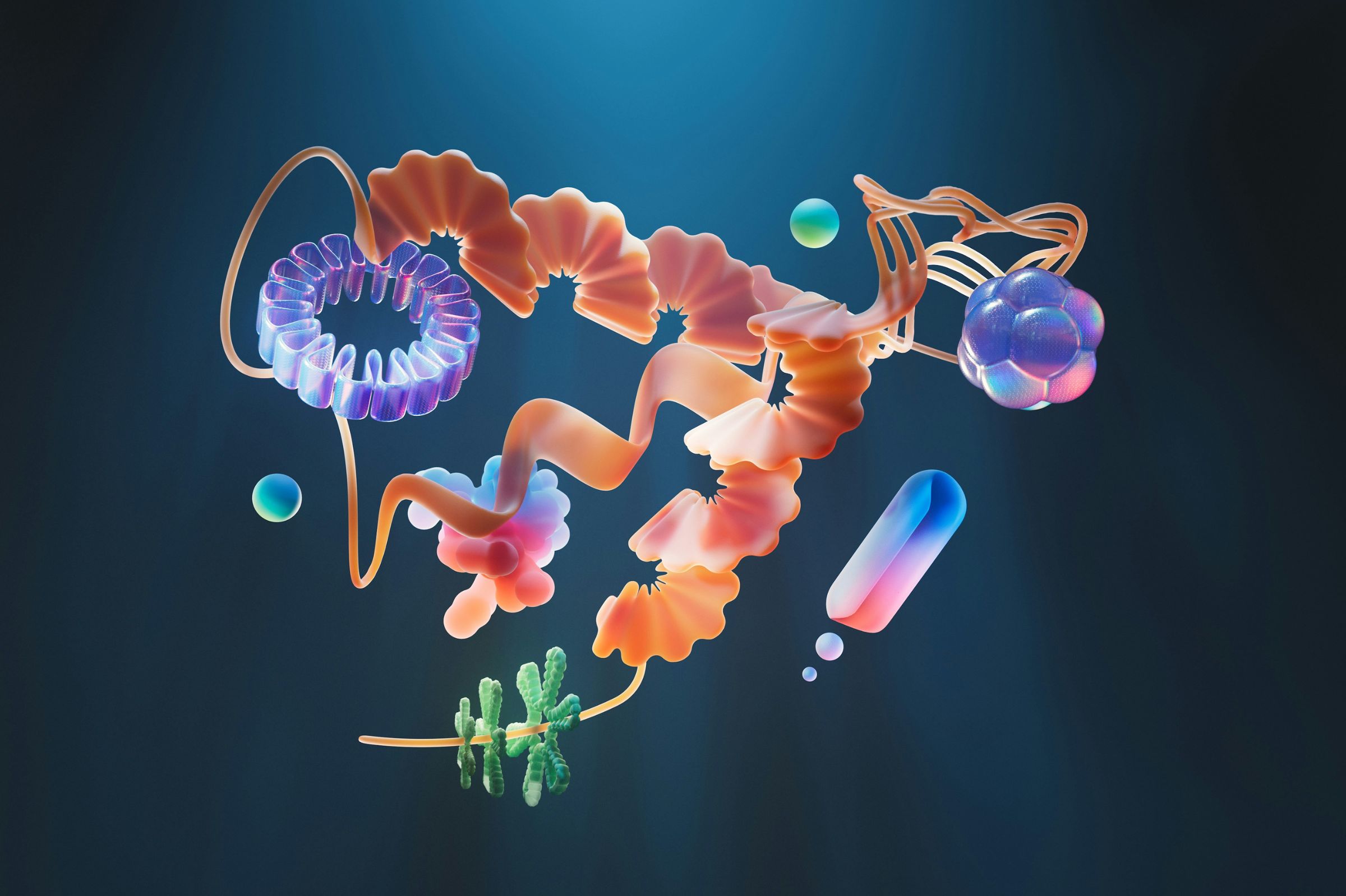 How To Detect Phosphoproteins By Western Blot? | Medical News Bulletin