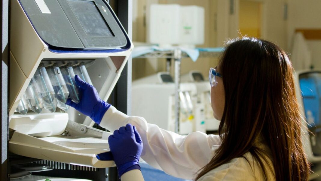 What Makes a Supplier Reliable in the Research Materials Market ...